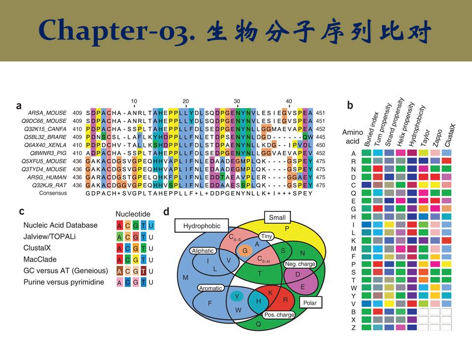 Chapter 3 Sequence alignment | Bioinformatics